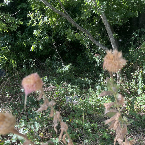 Stream episode automhate - tonal riddim (selasi flip) by selasi podcast ...