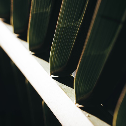 Stream Oordenking: What Kind Of A King? - pierre by InVia Gemeente ...