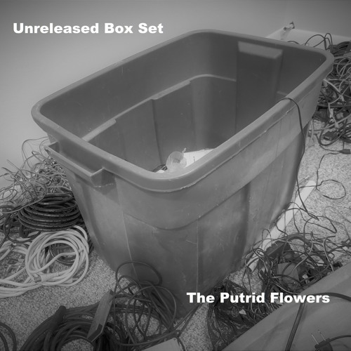 Stream Christine McVie by The Putrid Flowers | Listen online for free ...
