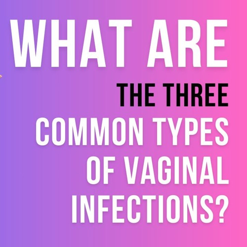 Stream What Are The Three Common Types Of Vaginal Infections By Womens 1045