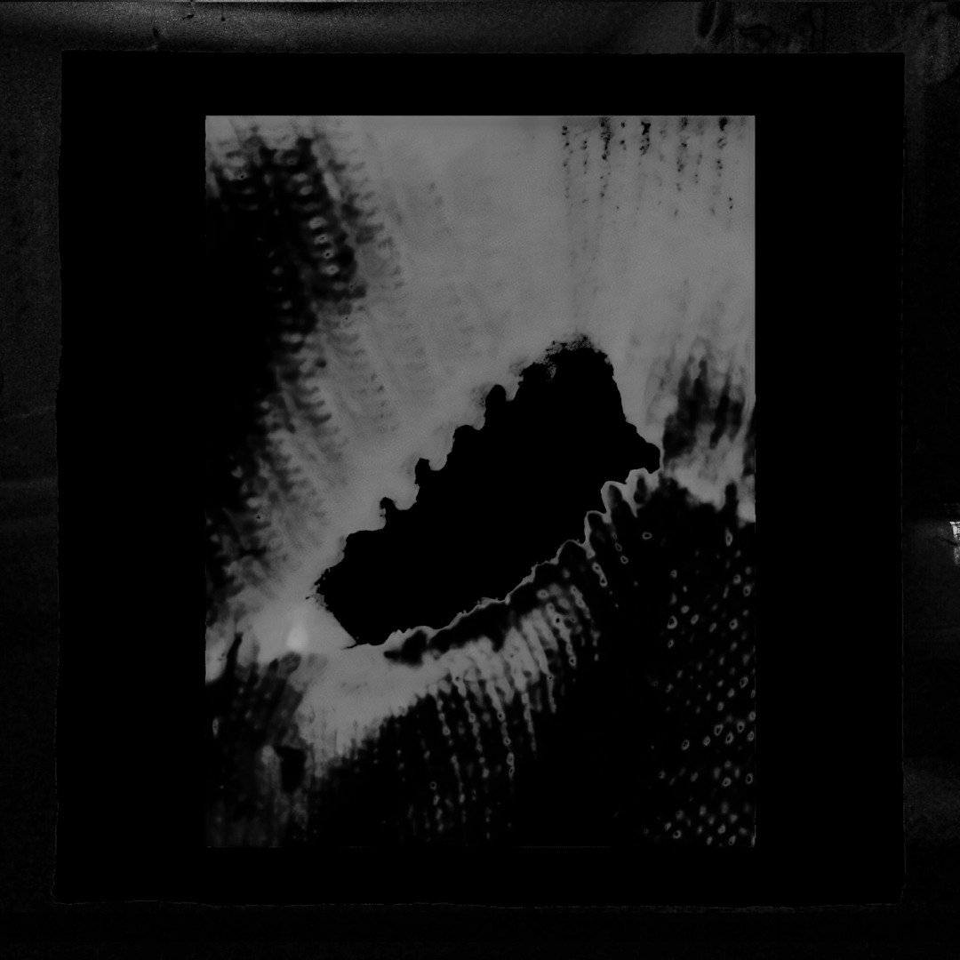 Stream XXCF by Closeted | Listen online for free on SoundCloud