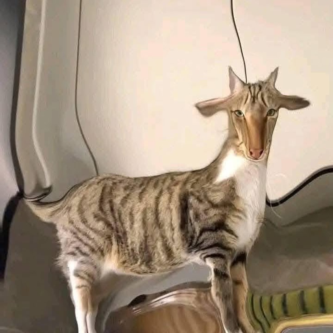 Stream CAPRIC0RNVENUS DEM0 (PR0D. PATCHFACE) by nekomimi | Listen ...