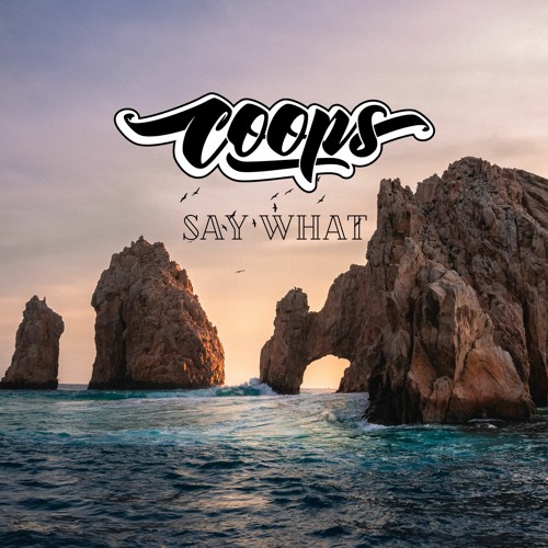 Stream Coops - Say What (Free DL Click Buy) by CooPs | Listen online ...