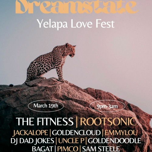 Stream Sam Steele - Live At Dreamstate - March 2023 by Sam Steele ...