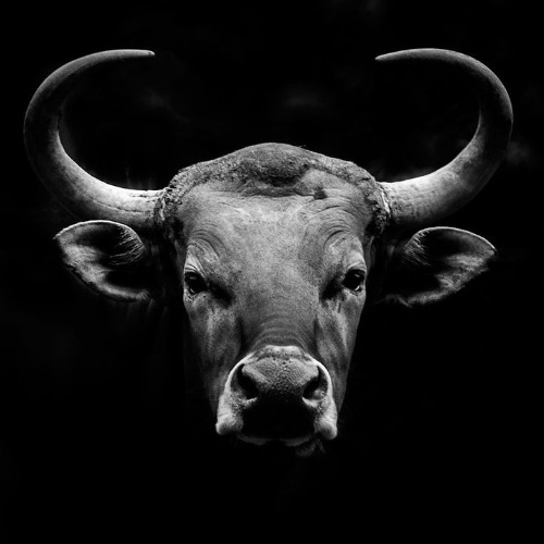 Stream INTR w Lia Butler by WeBlck&Og | Listen online for free on ...