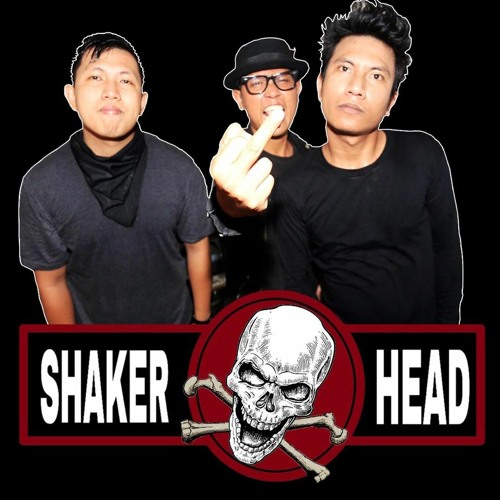 Stream Shaker Head Official | Listen to PUNK ROCK GENERATION VOL. 1 ...