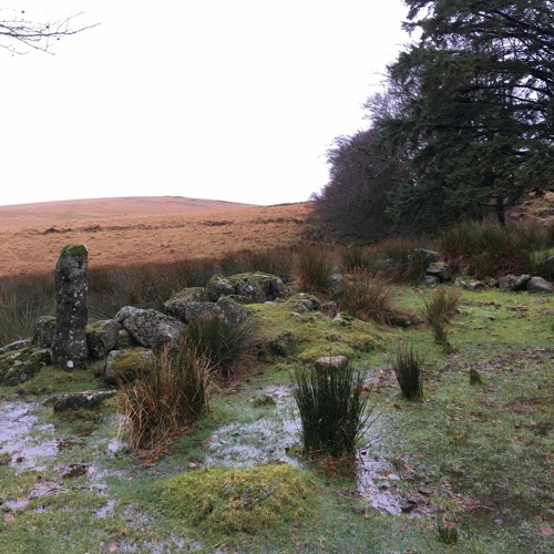 Stream Teignhead Farm 30 Dec 2022 by Dartmoor Soundings | Listen online ...