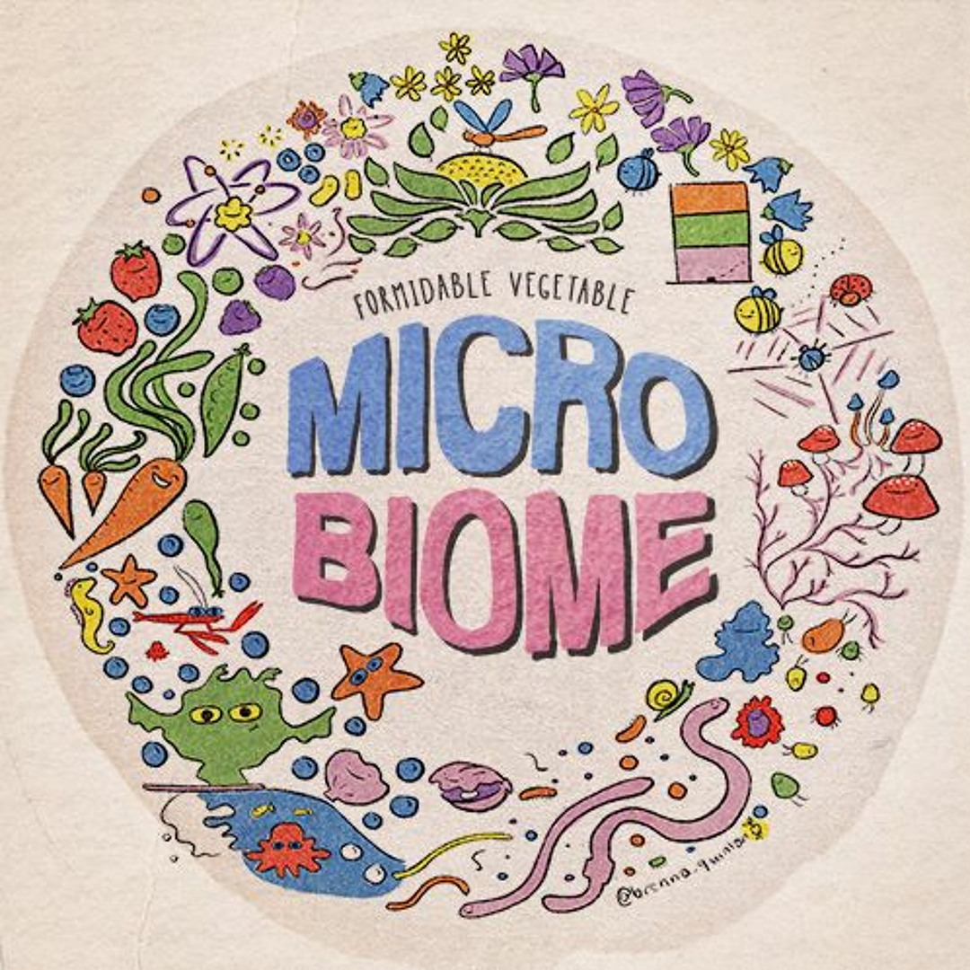 Stream Soil Food Web by Formidable Vegetable | Listen online for free ...