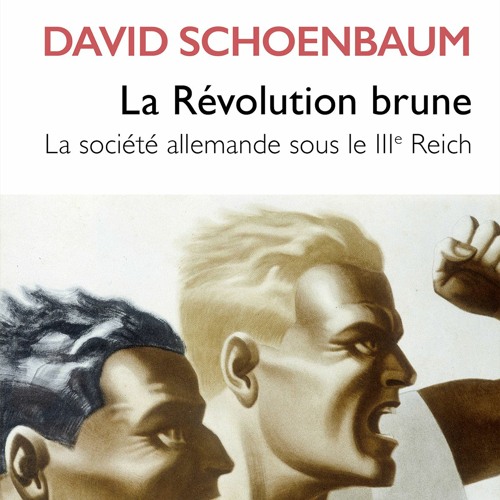 Stream David Schoenbaum - La Révolution brune by Éditions Les Belles ...