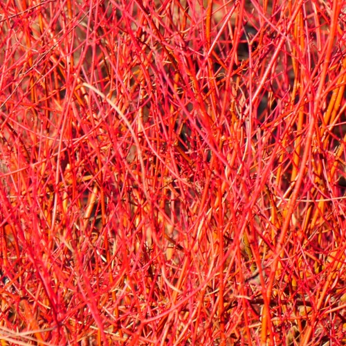 Stream Nebel heißt Leben rückwärts by Andreas Bick | Listen online for ...