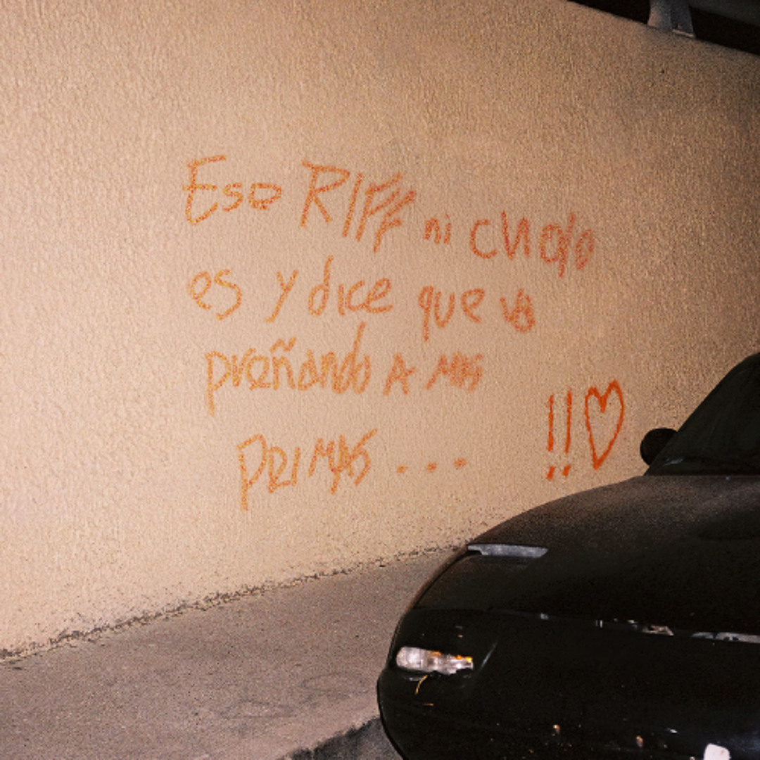 Stream Skrillex & Wuki - BIGGY BAP (Bitten by Riff Rabbit) by Riff ...