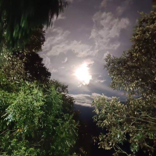 Stream Title Gangkar kapai khawa Singers Jigme Nidup, Dechen Pem ...