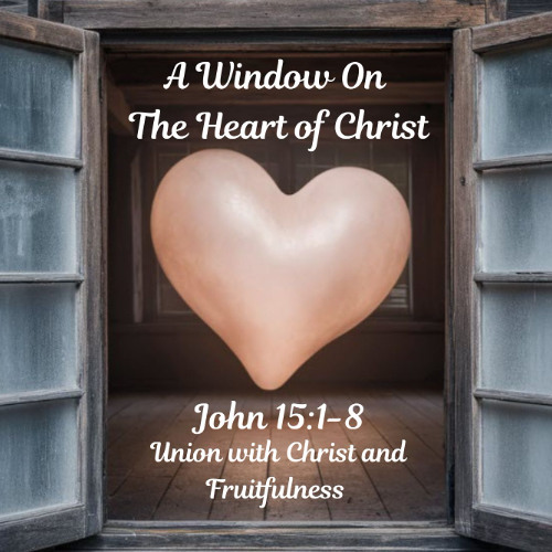 Stream John 15v1-8 Union with Christ and Fruitfulness by Living Hope ...