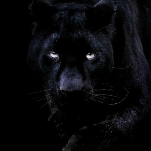 Stream Taladro feat. Irmak Arıcı - Mahşer ( Emre Aslan Remix ) by Emre ...
