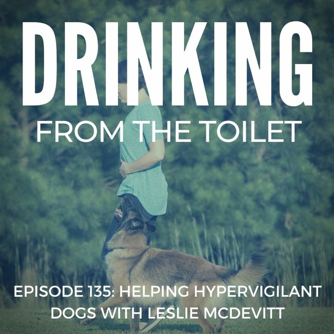 Stream #135: Helping Hypervigilant Dogs with Leslie McDevitt by ...