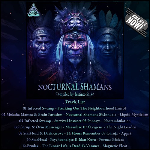 Stream Rudra Mantra Records | Listen to Nocturnal Shamans compiled by ...