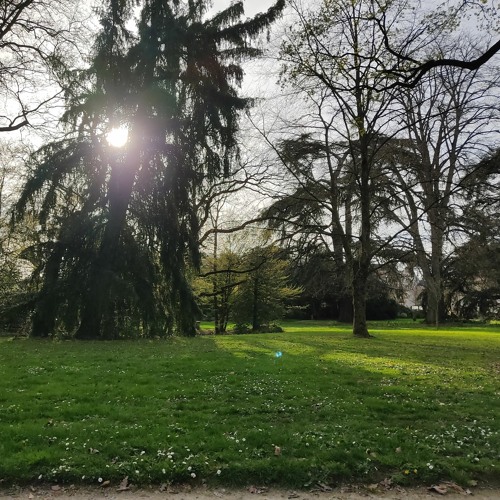 Stream Burnt Tail by bayesian rerecipe | Listen online for free on ... Stream Burnt Tail by bayesian rerecipe | Listen online for free on ...