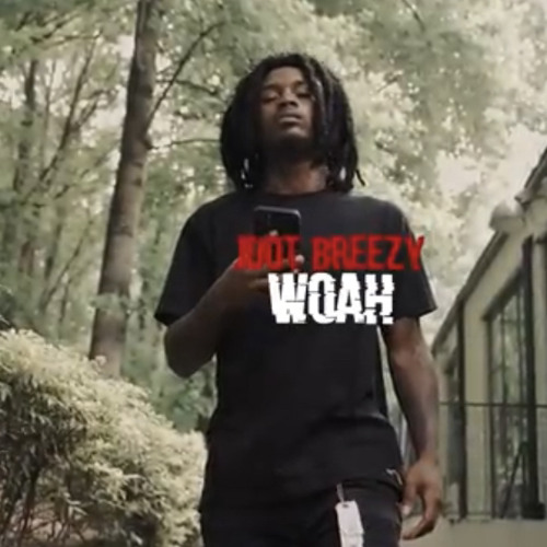 Stream Jdot Breezy- Woah (Fast) by Bdot | Listen online for free on ... Stream Jdot Breezy- Woah (Fast) by Bdot | Listen online for free on ...