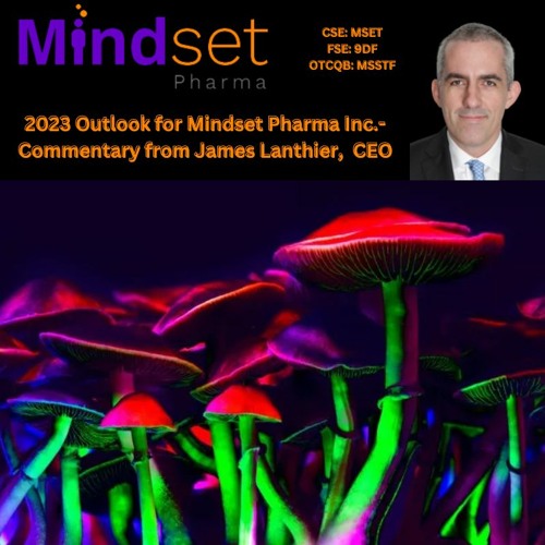 Stream episode Mindset Pharma Inc. Recap Of 2022 And Outlook For 2023 ...