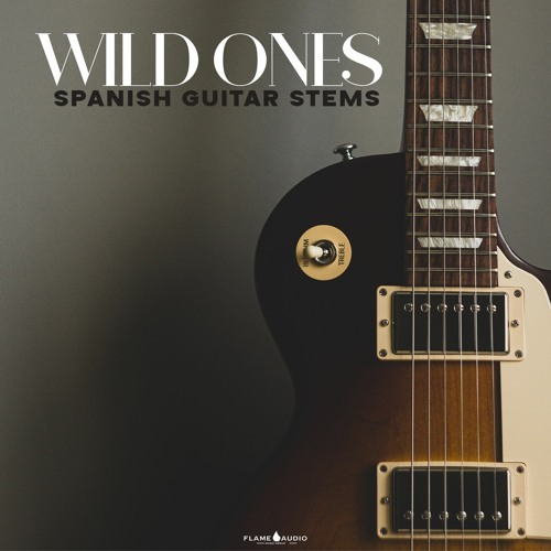Stream Flame Audio - Wild Ones - Guitar Stems by SynthPresets | Listen ...