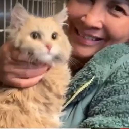 Stream Good News Tue Mar 18 2025 by BAS Sandusky Podcasts | Listen ...