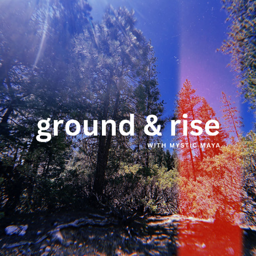 Stream Grounding Meditation - Pine Tree Wisdom by Mystic Maya | Listen ...
