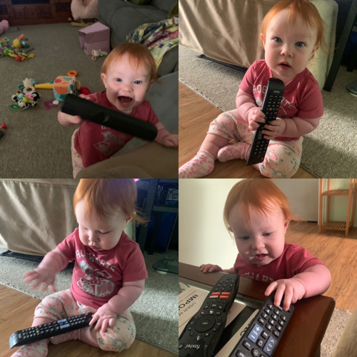 Stream Freya June (Quokkas competition song).mp3 by Elizabeth | Listen ...