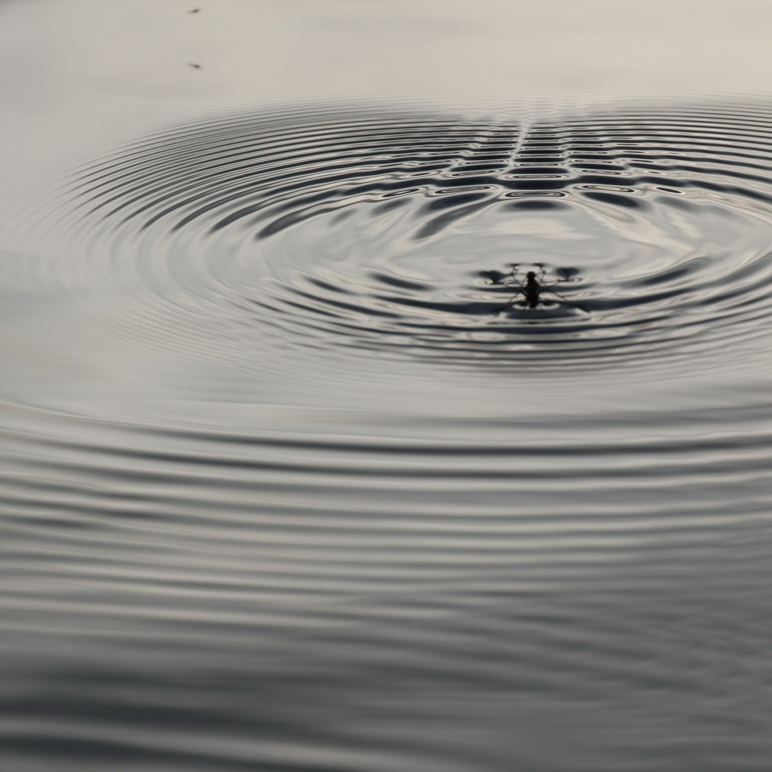 Stream Godowsky: Study No 28 [Ver.3B] On Chopin Op.25-2. K.P.Bach & P.L.Eide 1998. Rec VV 2023 ...