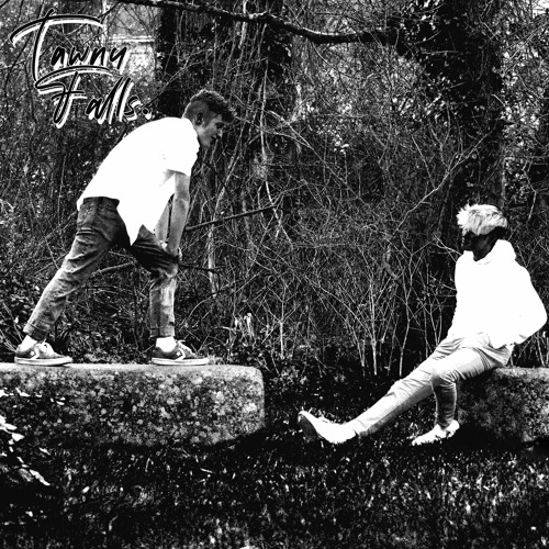 Stream Love Story. (Taylor Swift Cover) by Tawny Falls. | Listen online ...