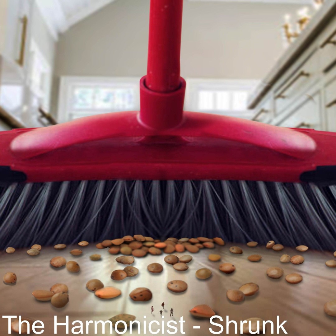 Stream Shrunk (Honey, I Shrunk the Kids) theme - Harmonica cover by The ...