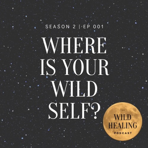 Stream S2 Ep 001 | Where Is Your Wild Self? by The Wild Healing Podcast ...