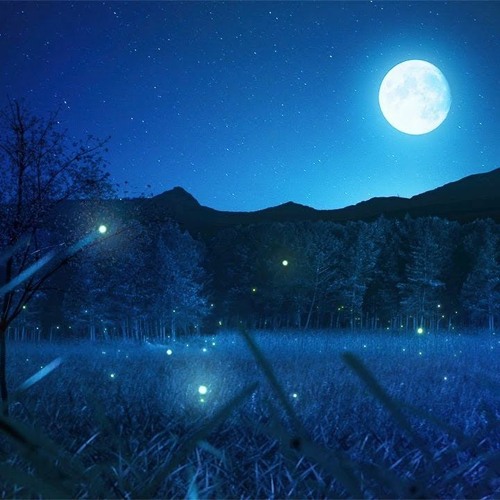 Stream Nicholas Light - THE NEXT EMINEM ! (Eminem Remix) by lost ...