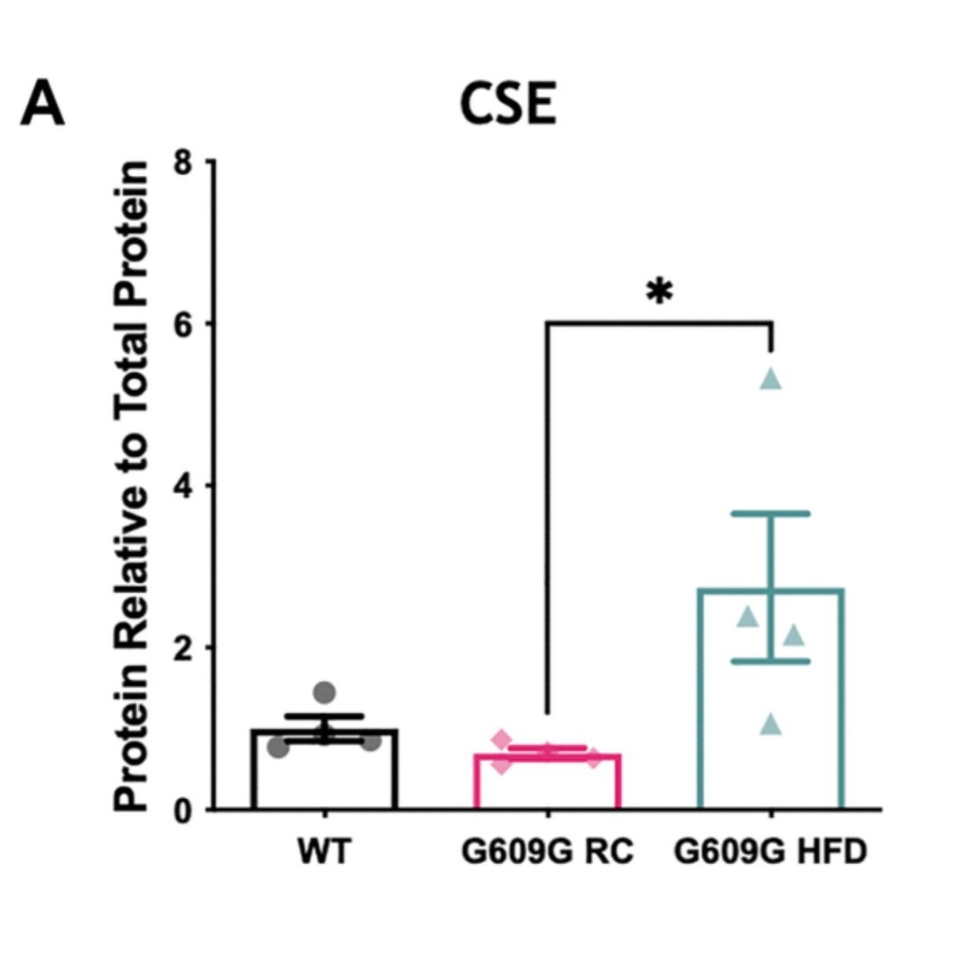 Stream episode Hepatic Hydrogen Sulfide Levels are Reduced in Mouse ...