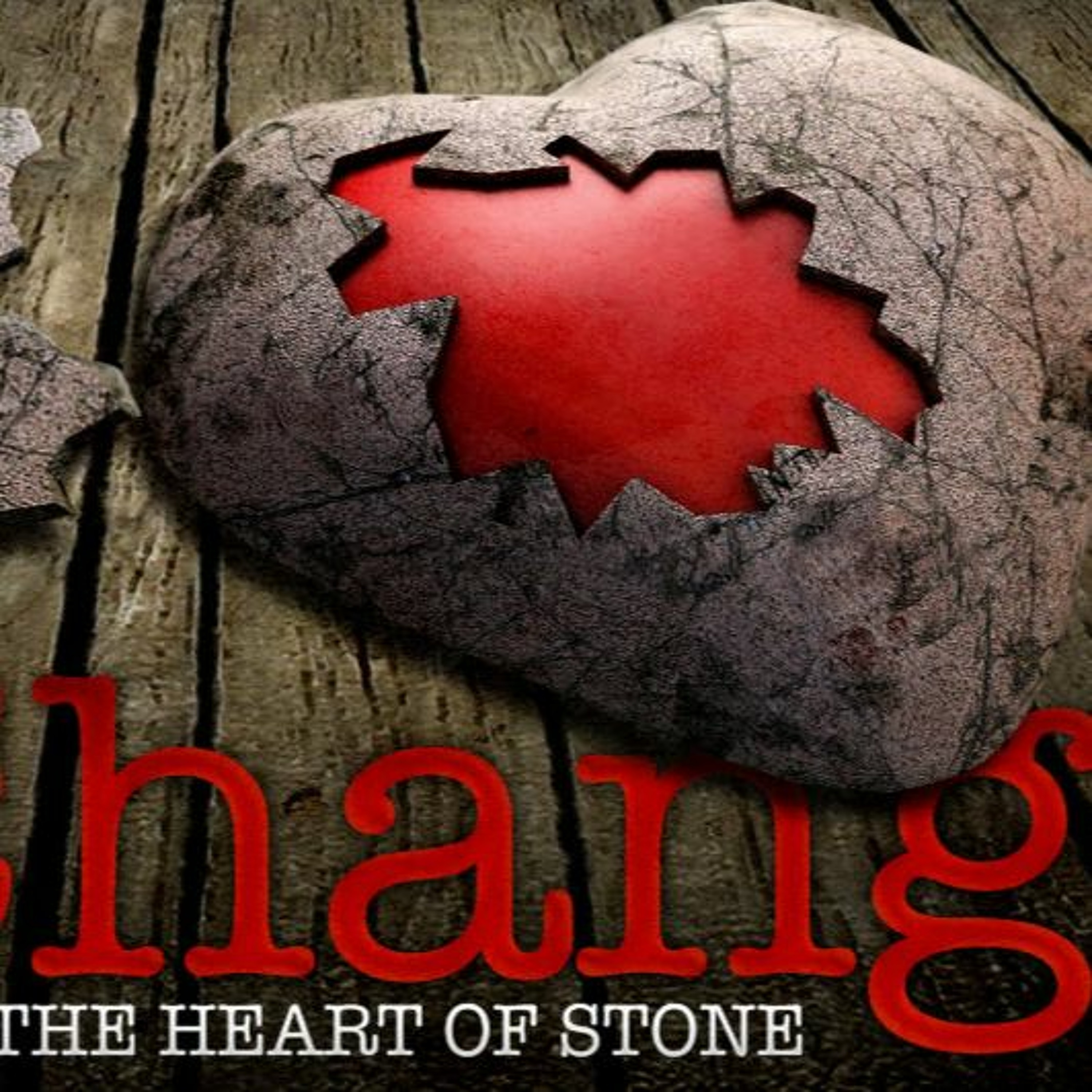 Daily Audio Torah ~ Oct 7, 2023 ~ Sukkot Shabbat – Bridge Connector ...