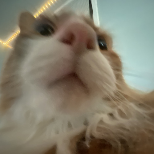 Stream Shoving Things Up Where They Do Not Belong (My Nose) by SPIDRW3B ... Stream Shoving Things Up Where They Do Not Belong (My Nose) by SPIDRW3B ...