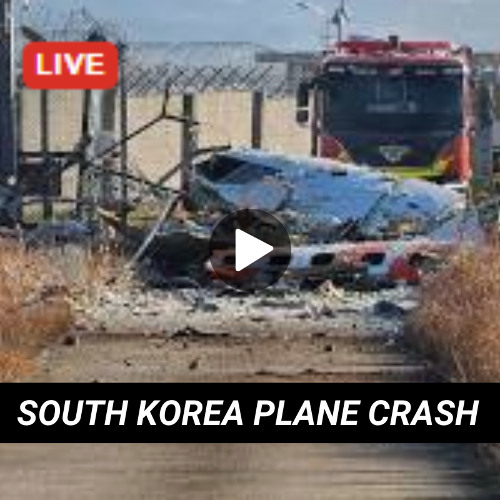 Stream Trending: South Korea Plane Crash News Today Wiki by Plane crash ...