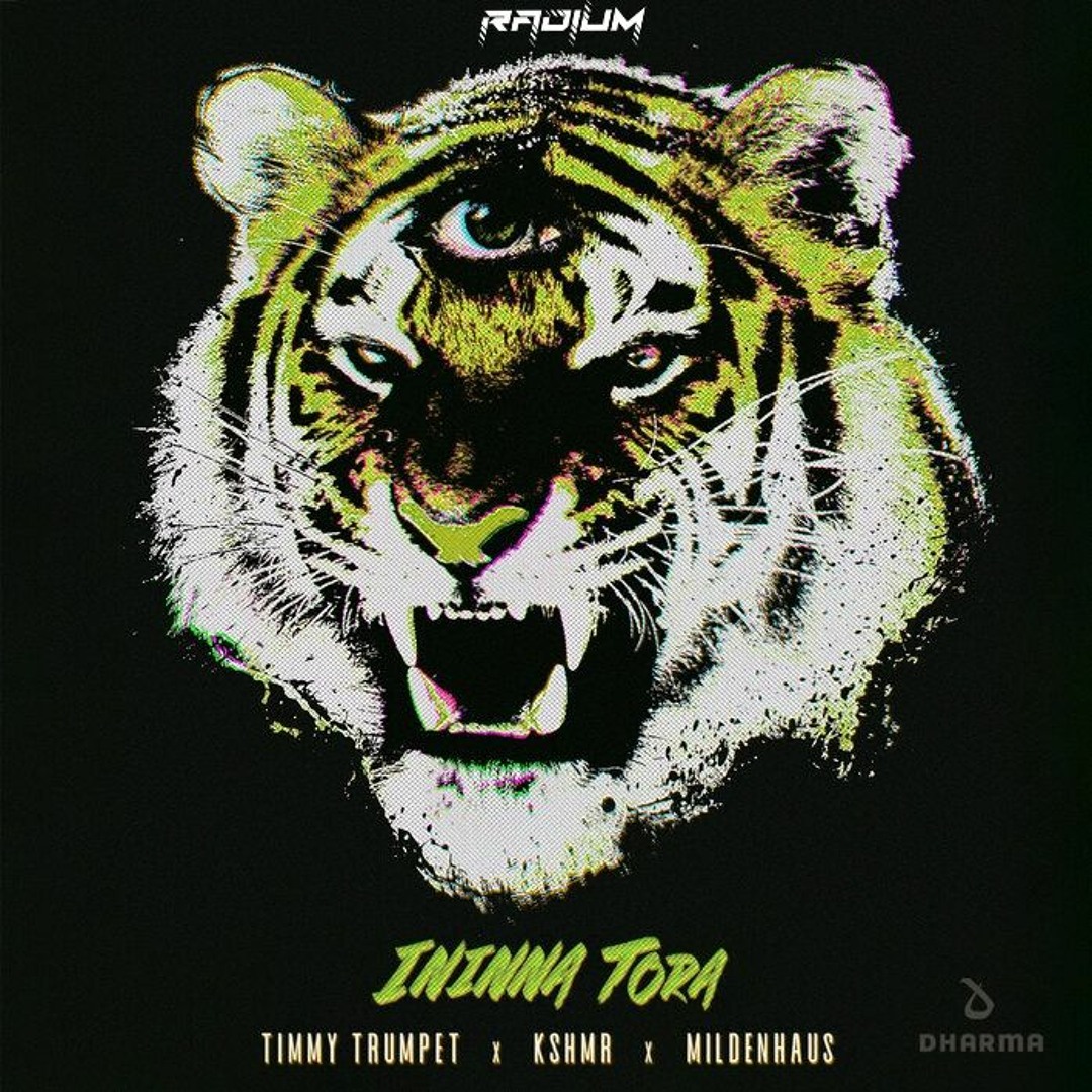 Stream Timmy Trumpet x KSHMR x Mildenhaus - Ininna Tora ( RADIUM ...