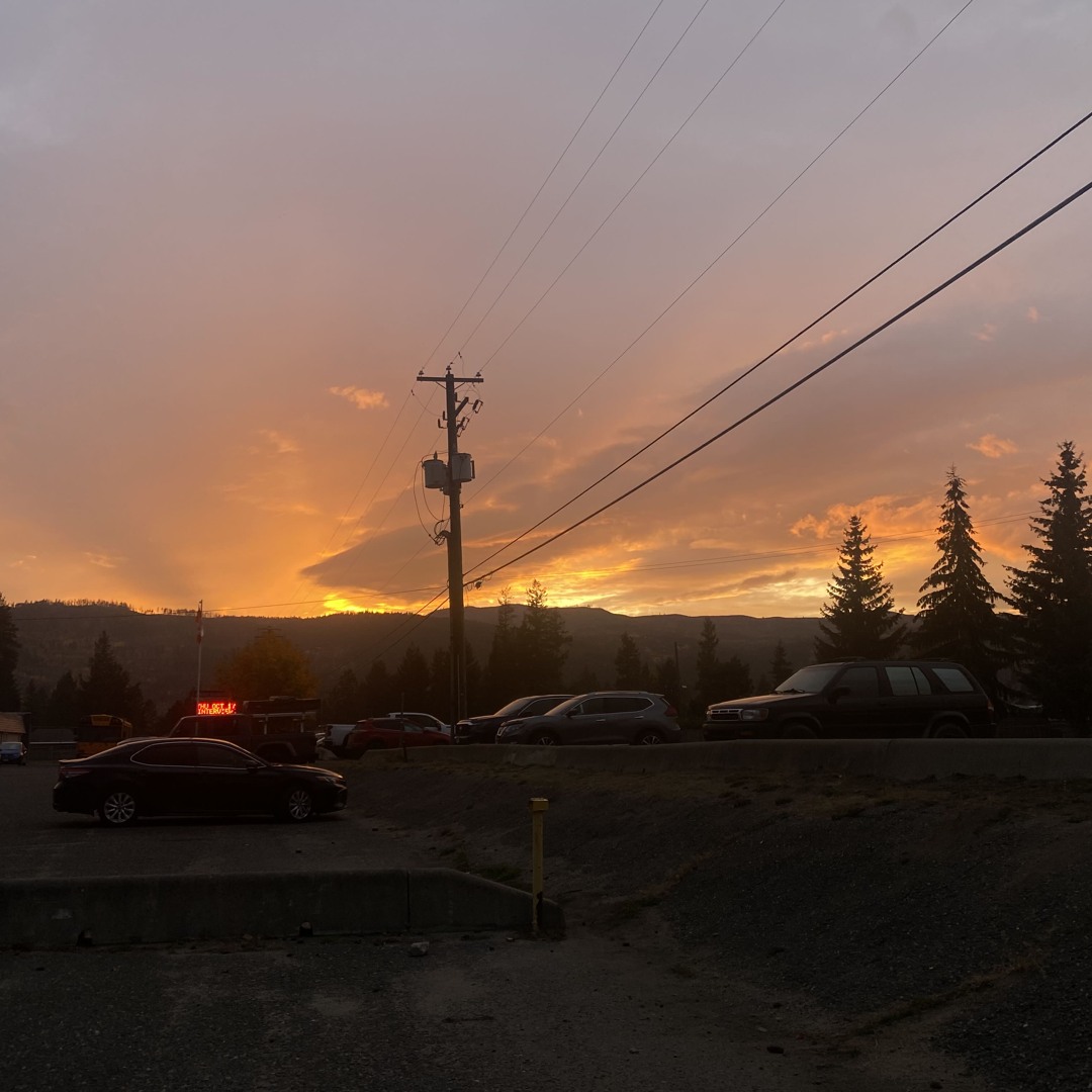 Stream Dear Carl, My dearest Allie, My dear Arthur, Dear Bruce, To my ...