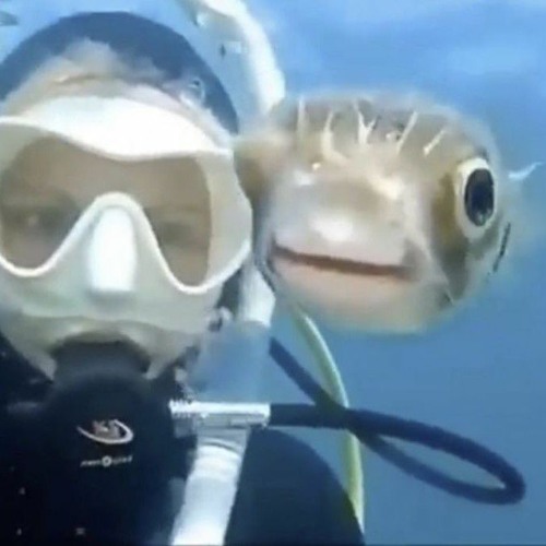 Stream absence - rio romeo (nightcore/sped up) by ᵔᴗᵔ roxana | Listen ...