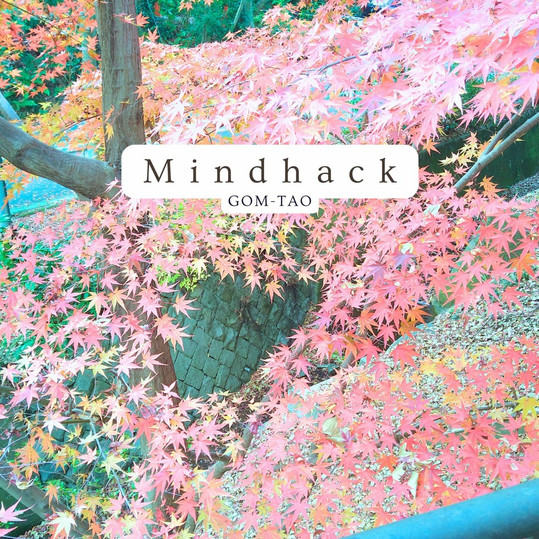 Stream GOM-TAO - Mindhack by GOM-TAO | Listen online for free on SoundCloud
