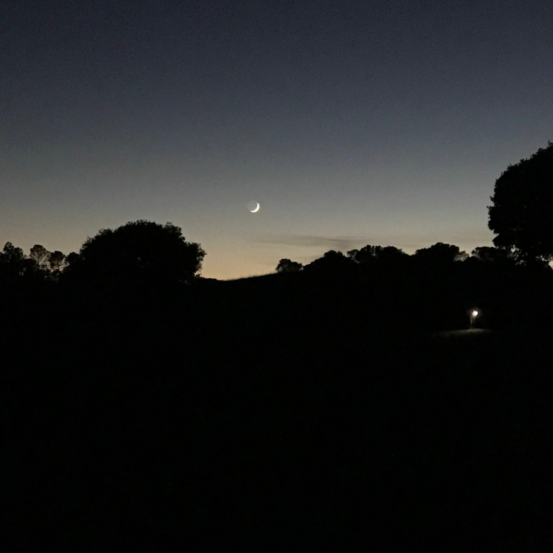 Stream Lafayette Reservoir Rim Trail At Night by Mario Savioni | Listen ...
