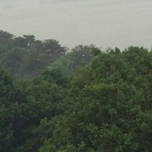 Stream try to see by KLNV (Archive) | Listen online for free on SoundCloud