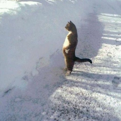 Stream Smo - 悲慘是借 by John Dope 江豆 | Listen online for free on SoundCloud