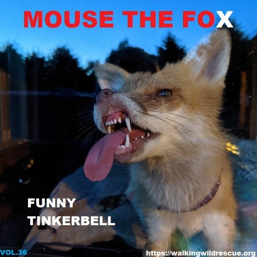 Stream MOUSE THE FOX - FUNNY TINKERBELL - VOL.36 - 28.11.2021 by MOUSE ...