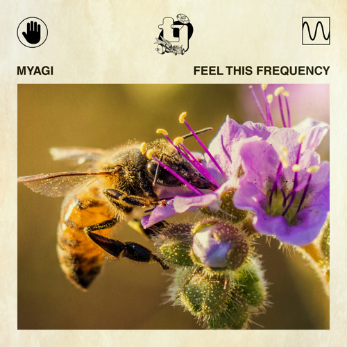 Stream Myagi - Feel This Frequency by Toast & Jam Recordings | Listen ...