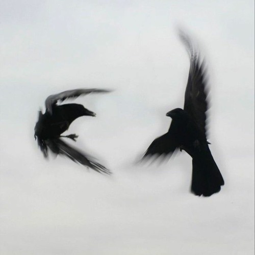 Stream Hypnotized by her_ by VXCN | Listen online for free on SoundCloud