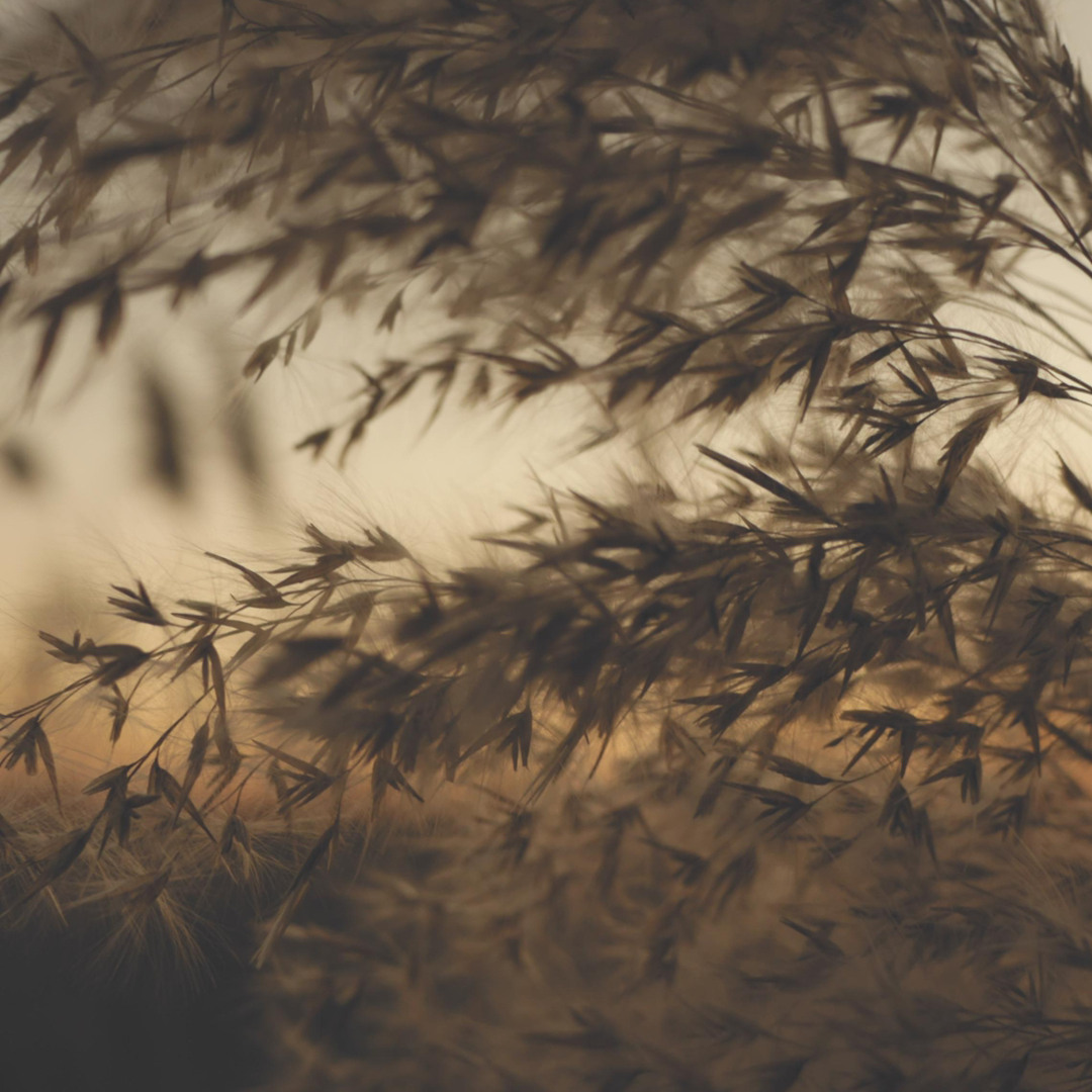 Stream Shunno - Rajahin Rajjo [Official Music Video HD].mp3 by User ...