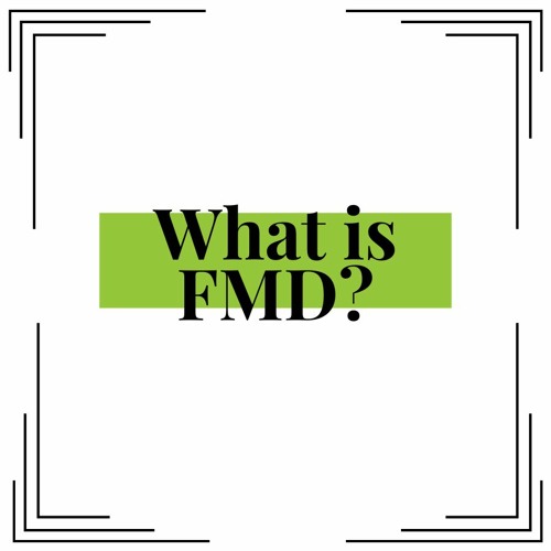 Stream episode What Is Fmd? by IL Corn podcast | Listen online for free ...