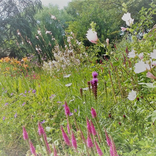 Stream Eric De Afwezige | Listen to Julie Raskin playlist online for ...