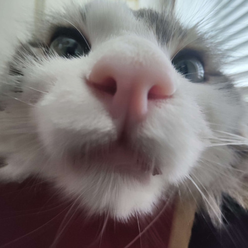 Stream KANEDA7 - FRIGHT NIGHT + m1v (Slowed)xxx( > 〰